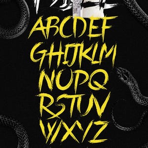 Black Mamba Vol.1 Brush Font - Etsy