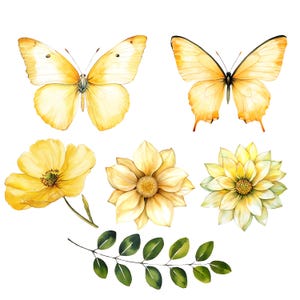 Yellow Fairy Clipart: Garden Fairies, Mushrooms, Butterflies (20 PNG ...