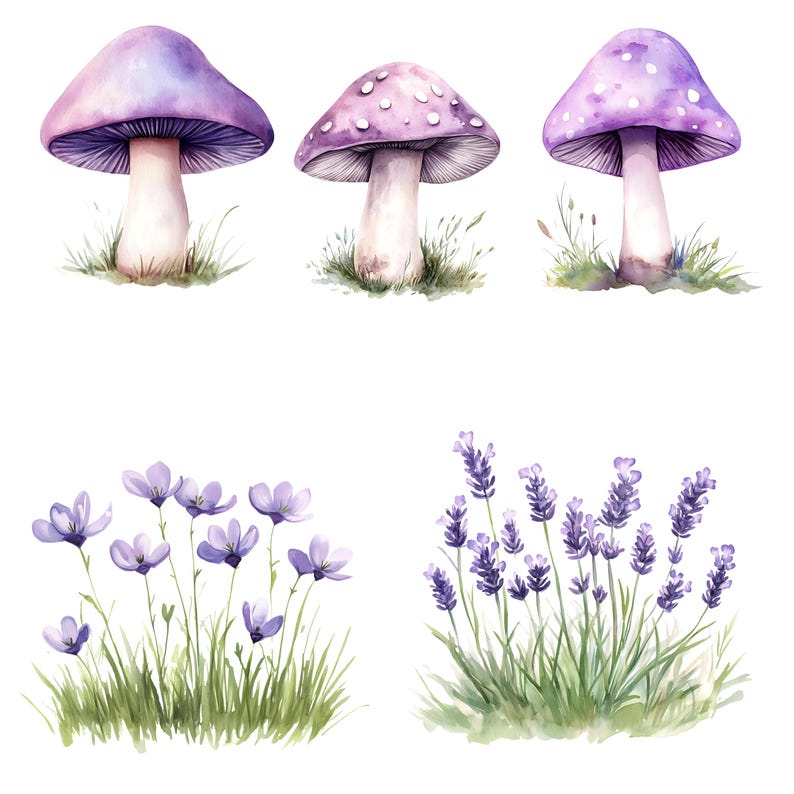 Purple Fairy Clipart Set: Butterfly, Mushrooms, Door (20 PNG Files) - Etsy