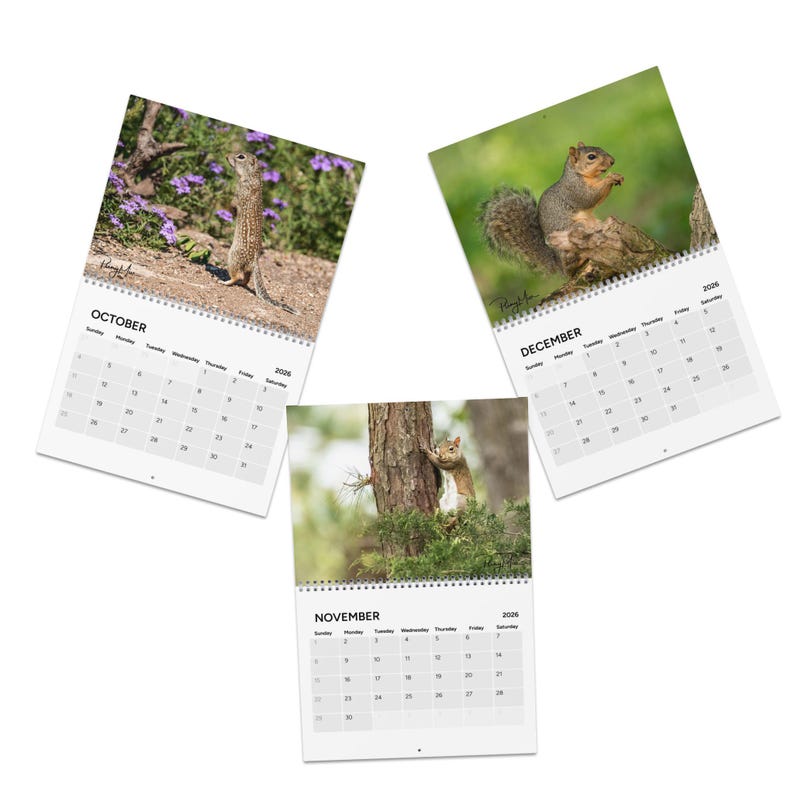 Wildlife Photo Calendar 2026 - Squirrel Photography Wall Calendar - Etsy