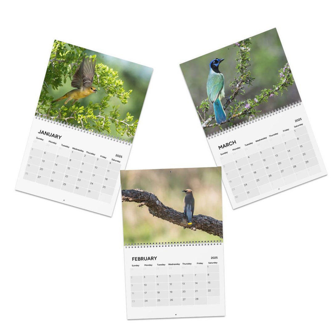 2025 Bird Wall Calendar 2025 Bird Photography Calendar for Bird Lover ...