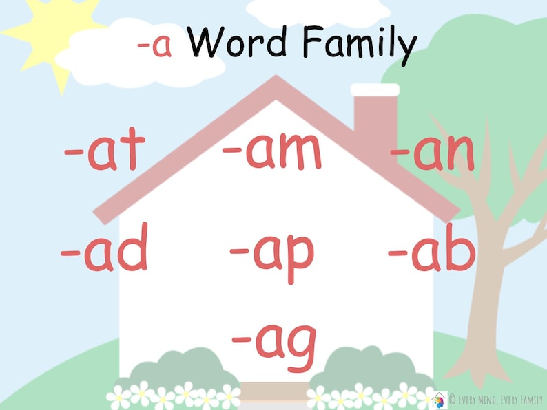 Phonics CVC Word Family/short Vowel Sounds (_a) - Science of Reading ...