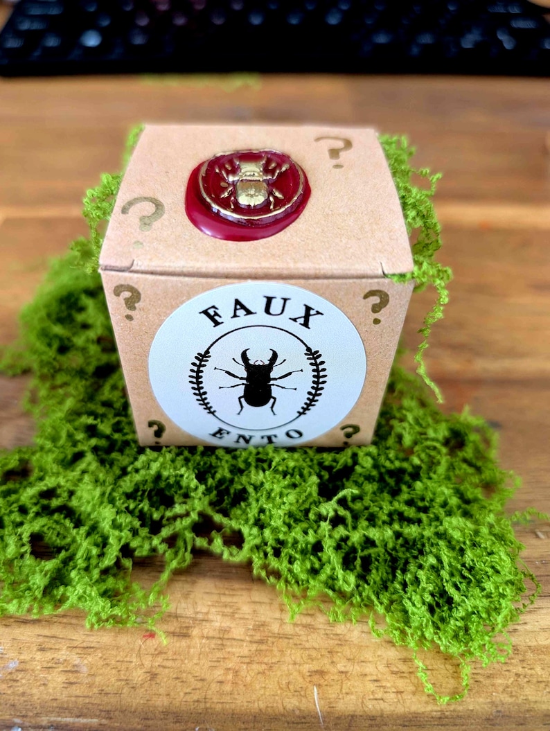 Forest Mystery Boxes - Handmade Blind Box - Whimsical Nature Gift ...