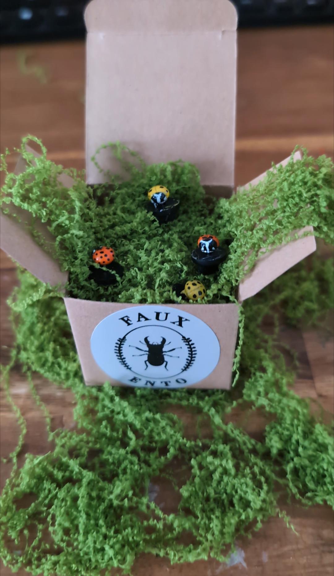 Forest Mystery Boxes - Handmade Blind Box - Whimsical Nature Gift ...