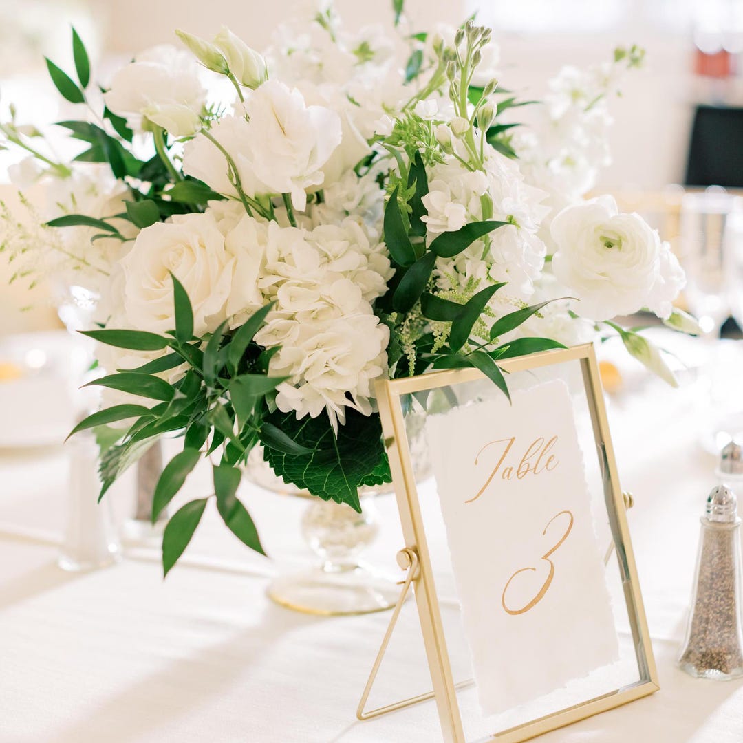 Handwritten Modern Calligraphy Table Numbers for Frame, Deckled Edge ...