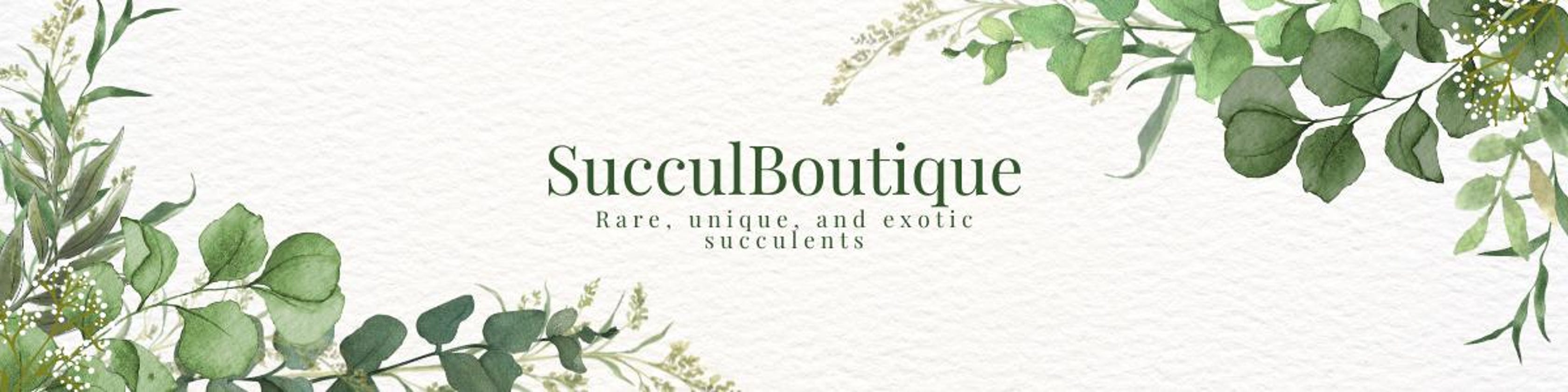 timelessroots3 - Etsy