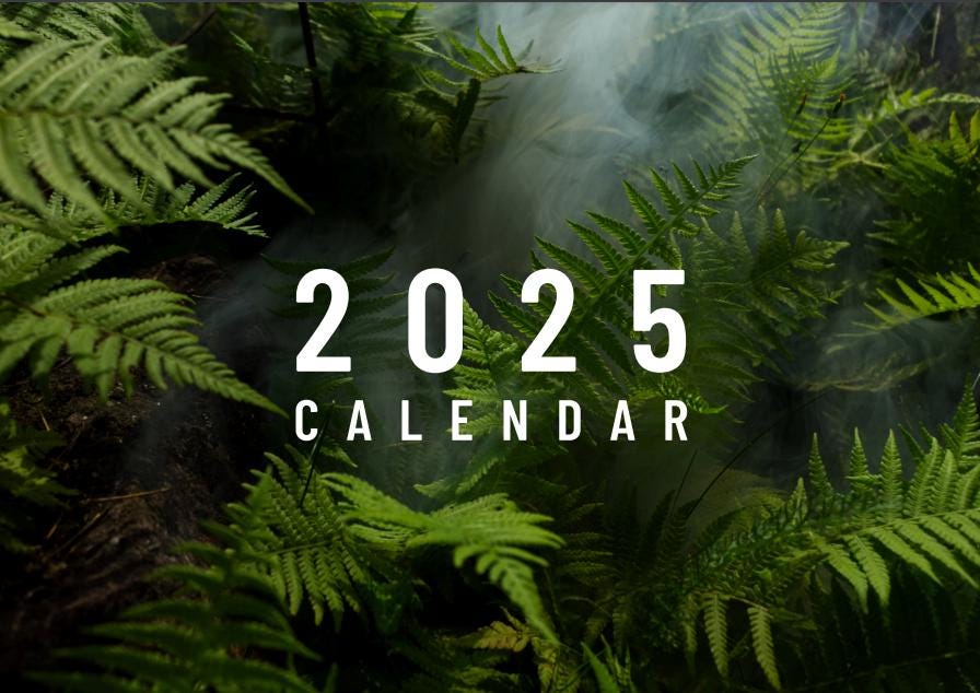 2025 Calendar Bundle, Color of the Year Mocha Mousse Calendar, Sunday ...