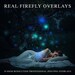 Realistic High Resolution Real Firefly Overlays, Real Firefly Overlays ...