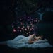 Realistic High Resolution Real Firefly Overlays, Real Firefly Overlays ...
