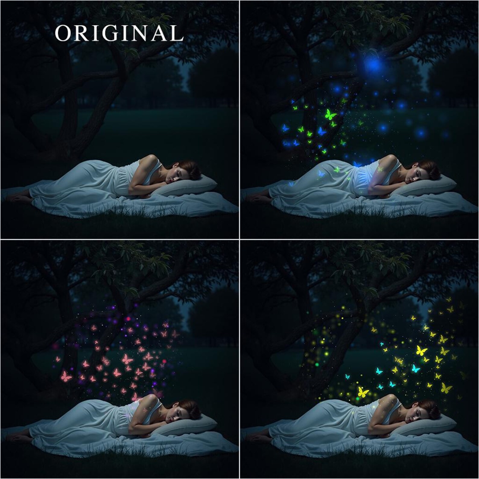 Realistic High Resolution Real Firefly Overlays, Real Firefly Overlays ...