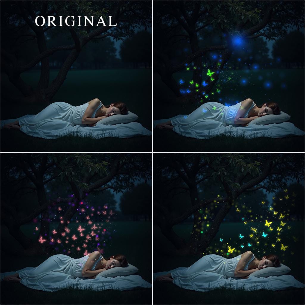 Realistic High Resolution Real Firefly Overlays, Real Firefly Overlays ...