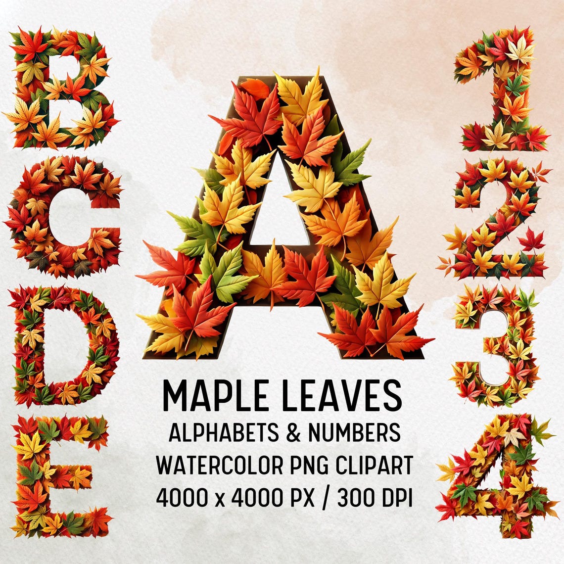 Autumn Maple Leaf Alphabet Clipart: Watercolor PNG Designs (digital ...
