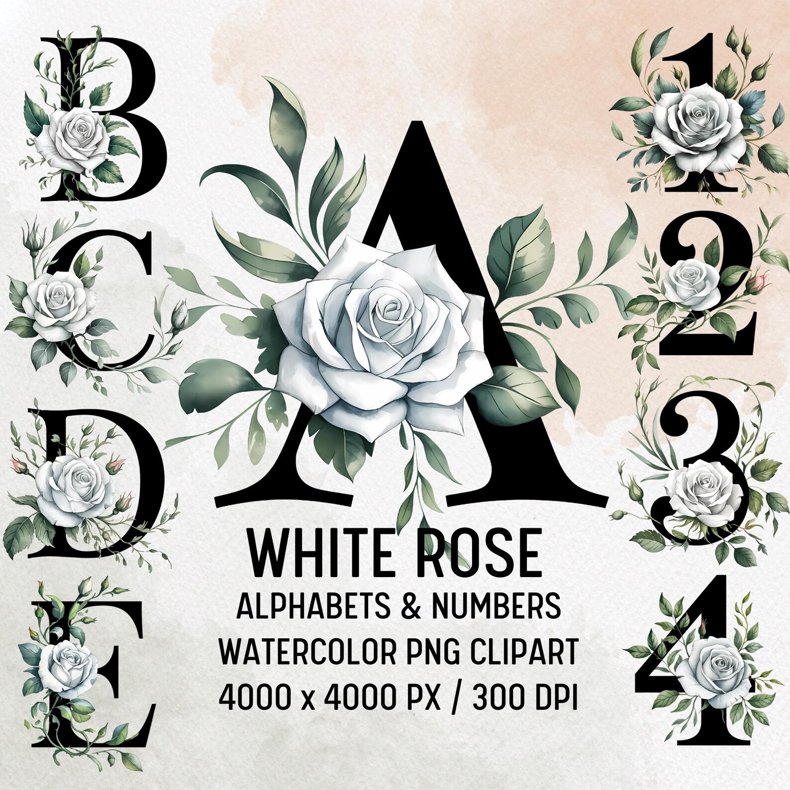 Watercolor Flowers Alphabet PNG, White Rose Black Alphabets Clipart ...