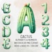 Cactus Alphabet Clipart: Desert Plant Font (PNG Digital Download) - Etsy
