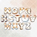 Toasting Marshmallow Alphabet PNG Clipart: Camping Bonfire Letters ...