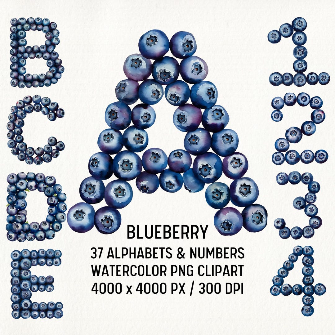 Blueberry Alphabet & Numbers Clipart: Summer Fruit PNG Font (digital ...