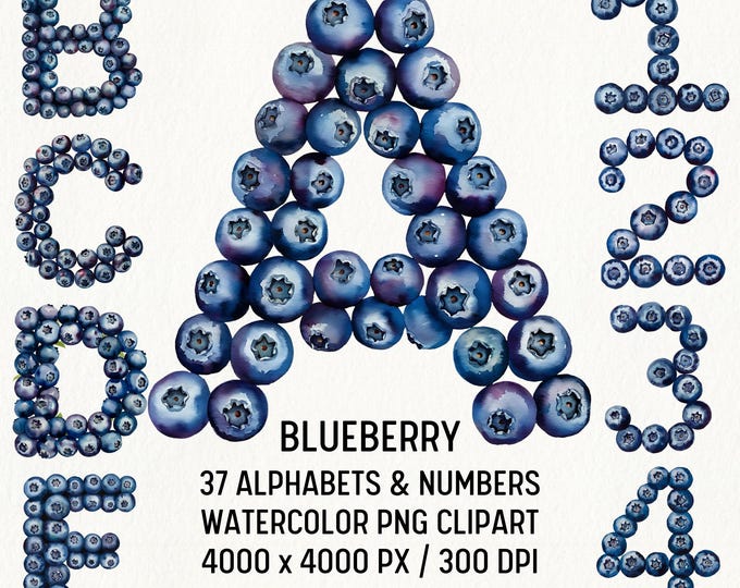 Spring Blueberry Alphabet Clipart – Botanical Letter PNG Set (digital ...
