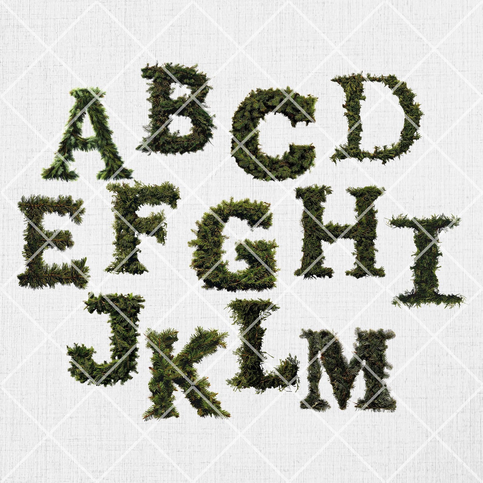 Christmas Floral Alphabet PNG Clipart: Holiday Letters (digital ...