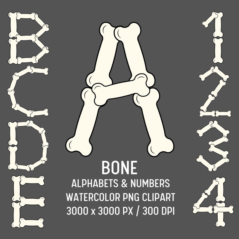 Bone Skeleton Numbers Png - Etsy