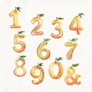 Watercolor Orange Alphabet Letters PNG Clipart Set, Citrus Fruit Font ...