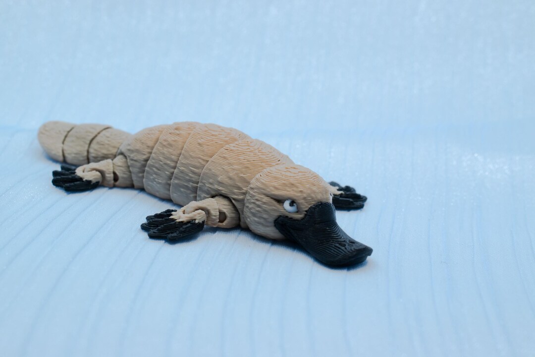 3D Printed Platypus Articulated Toy Fidget Gift | Desk Pet and ...