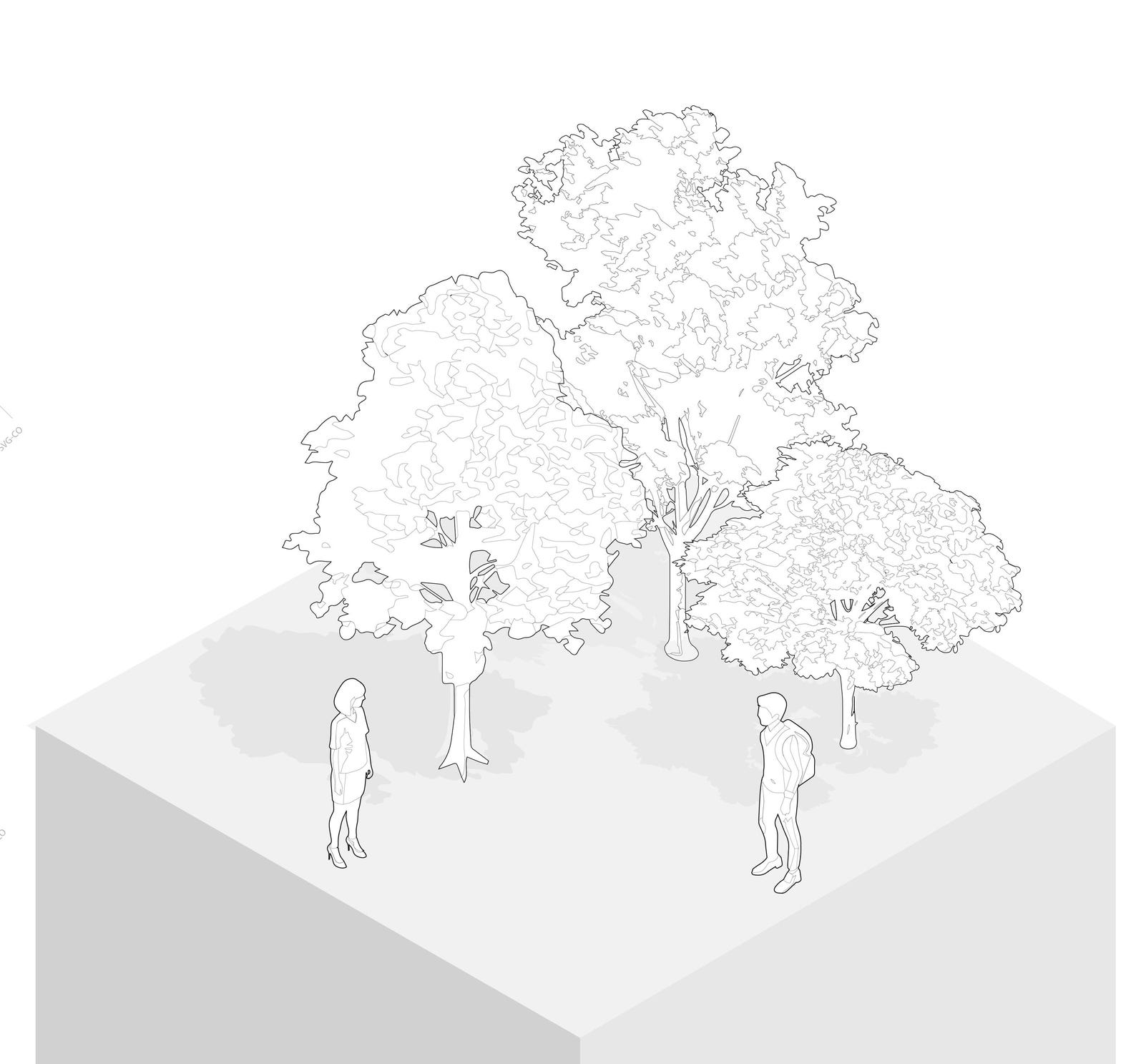 Tree Drawing, Axonometric Trees Vector, SVG, Vector - Etsy