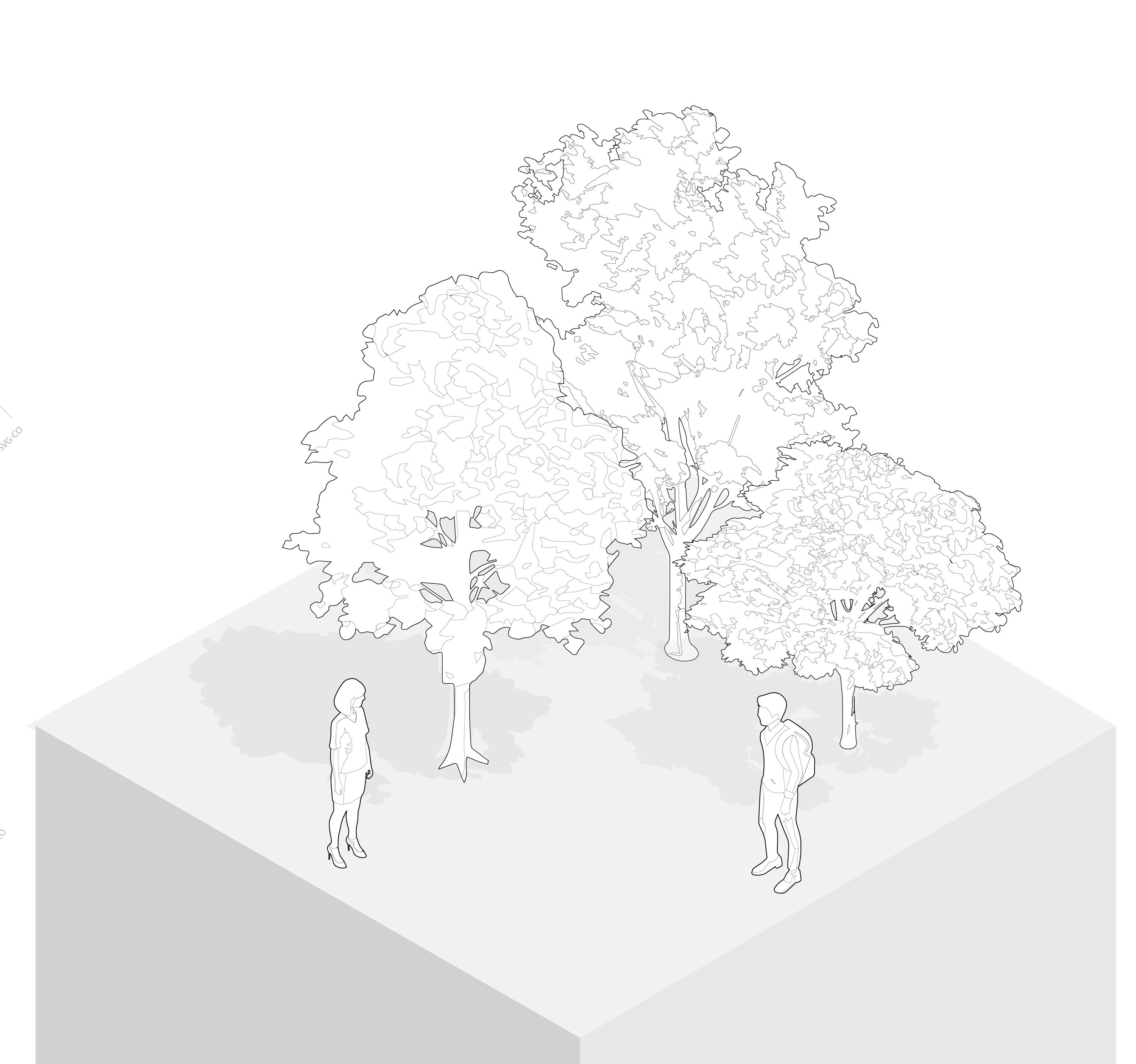 Tree Drawing, Axonometric Trees Vector, SVG, Vector - Etsy