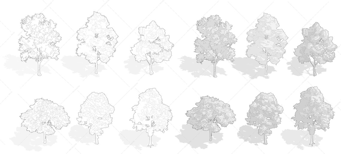 Tree Drawing, Axonometric Trees Vector, SVG, Vector - Etsy