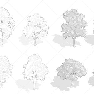 Tree Drawing, Axonometric Trees Vector, SVG, Vector - Etsy