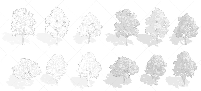 Tree Drawing, Axonometric Trees Vector, SVG, Vector - Etsy