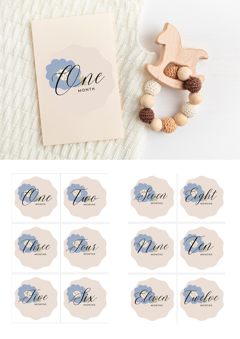 Editable / Ready to Print Baby Milestone Cards Printable Monthly ...