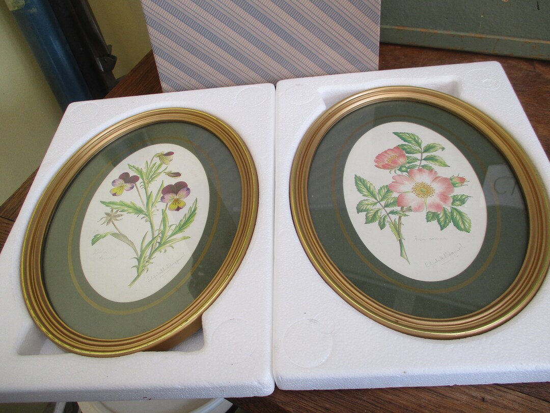 Avon English Botanical Prints Flower Pictures Vintage Boxed - Etsy