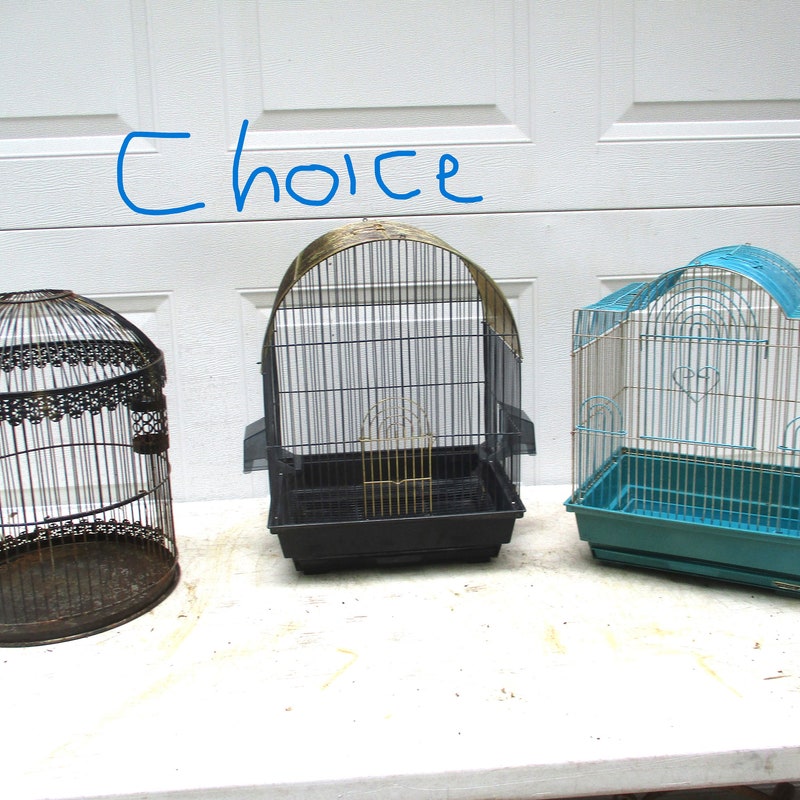 Bird Cage - Etsy