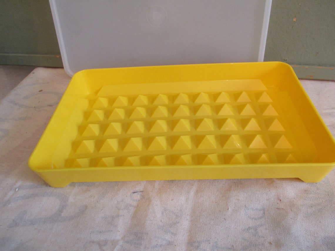 Tupperware Deli Meat Hot Dog Bacon Keeper Food Storage - Etsy