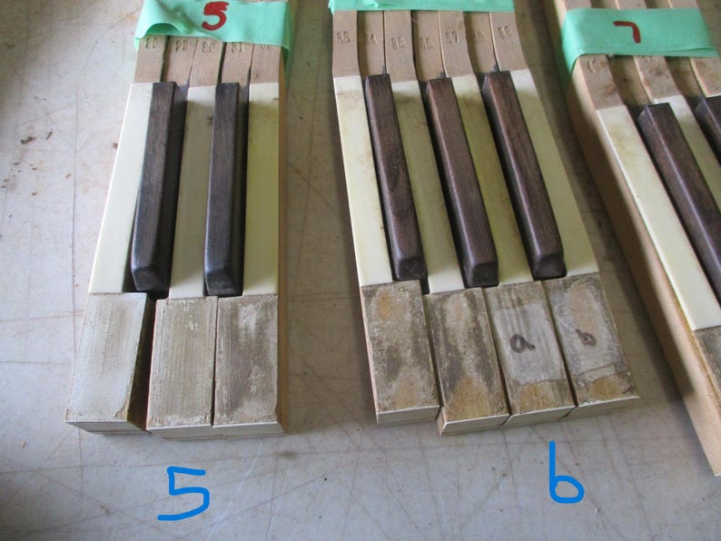 Piano Keys Vintage CHOICE Different Sets Milton Piano Company - Etsy