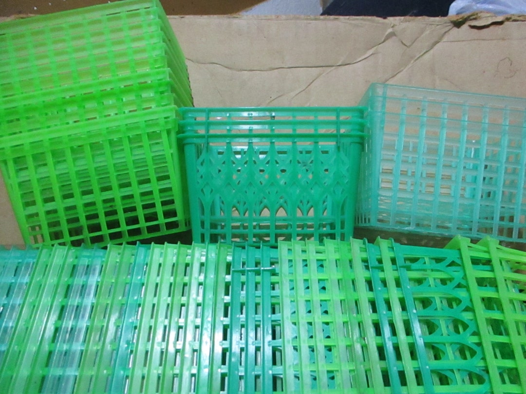 Plastic Berry Box Raspberry, Green Vintage Sets CHOICE - Etsy