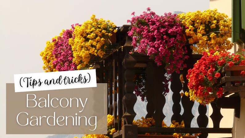 Youtube Thumbnail Templates Mini Set for Content Creators Fully ...