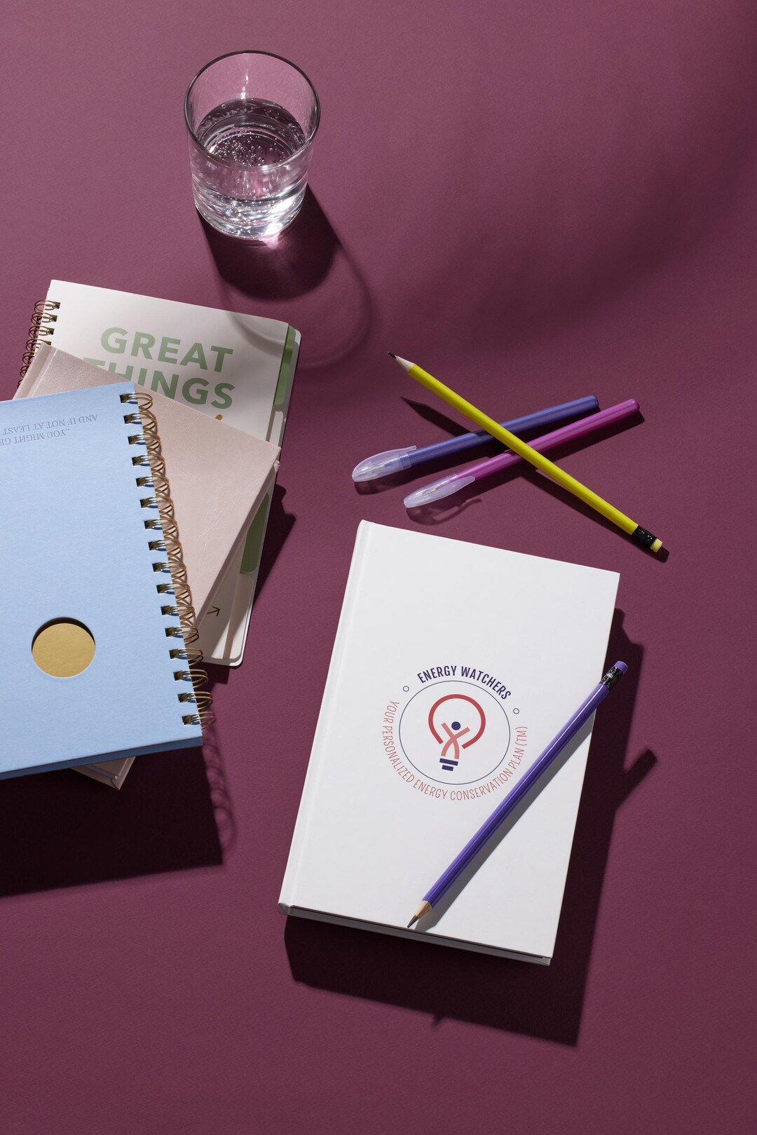 Customized Fatigue Management Guide for Chronic Illness: Energywatchers ...