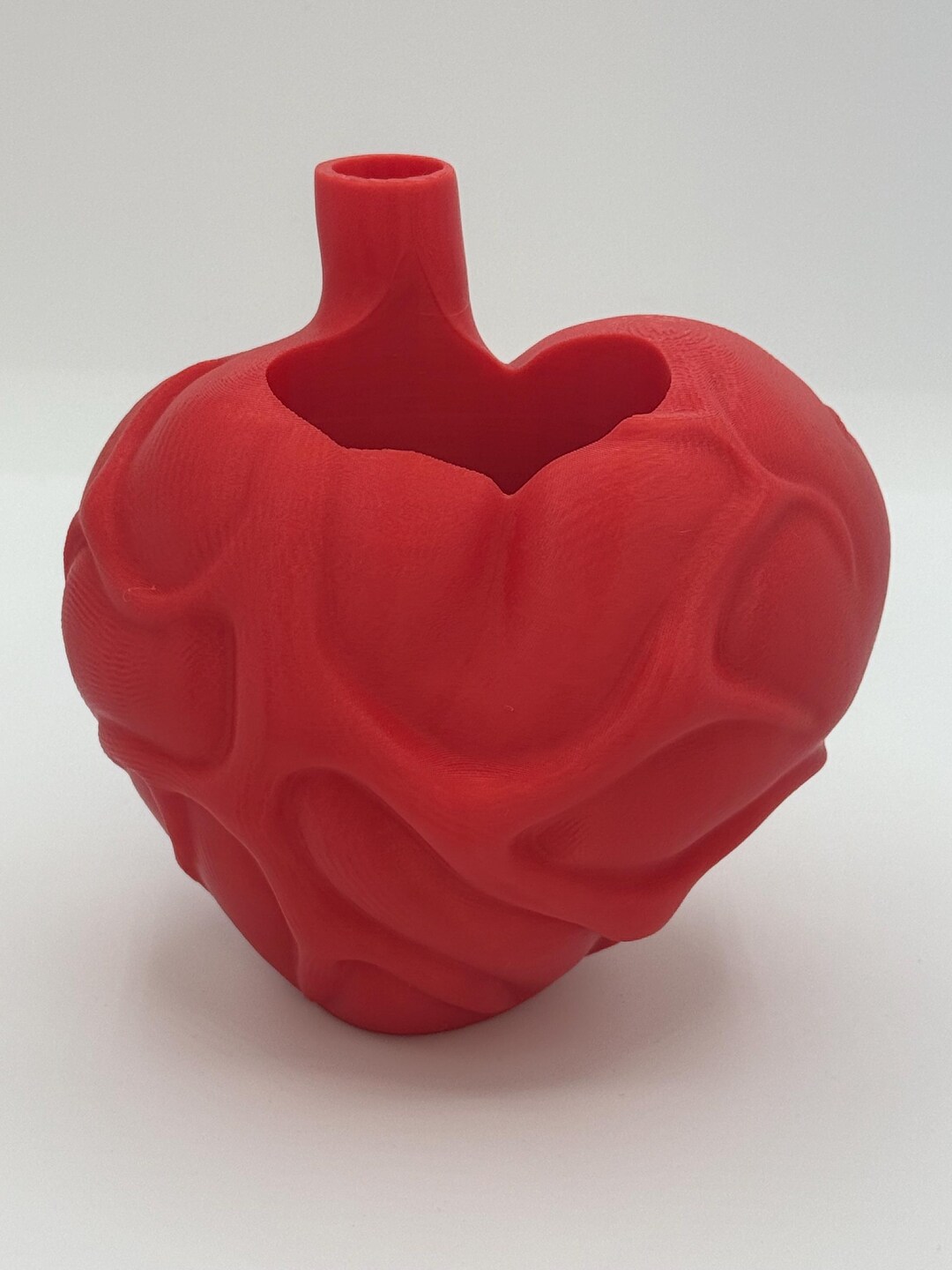 Anatomical Heart Vase, 6"h, Accurate Heart Representation, Heart Vase ...