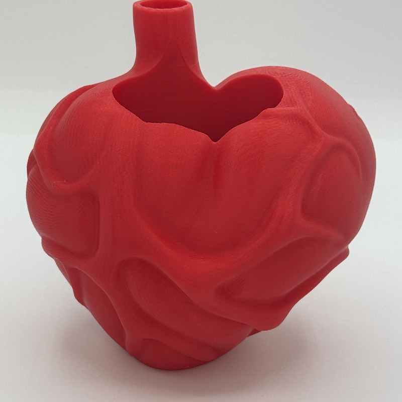 Anatomical Heart Vase - Etsy