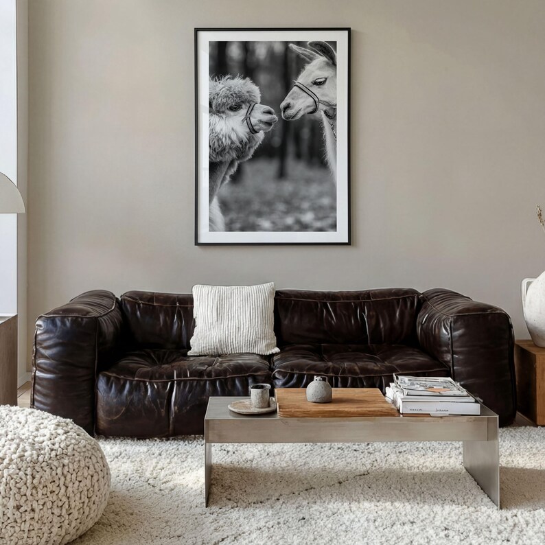Llama Black and White Fine Art Photo Print, Alpaca Wall Decor, Animal ...