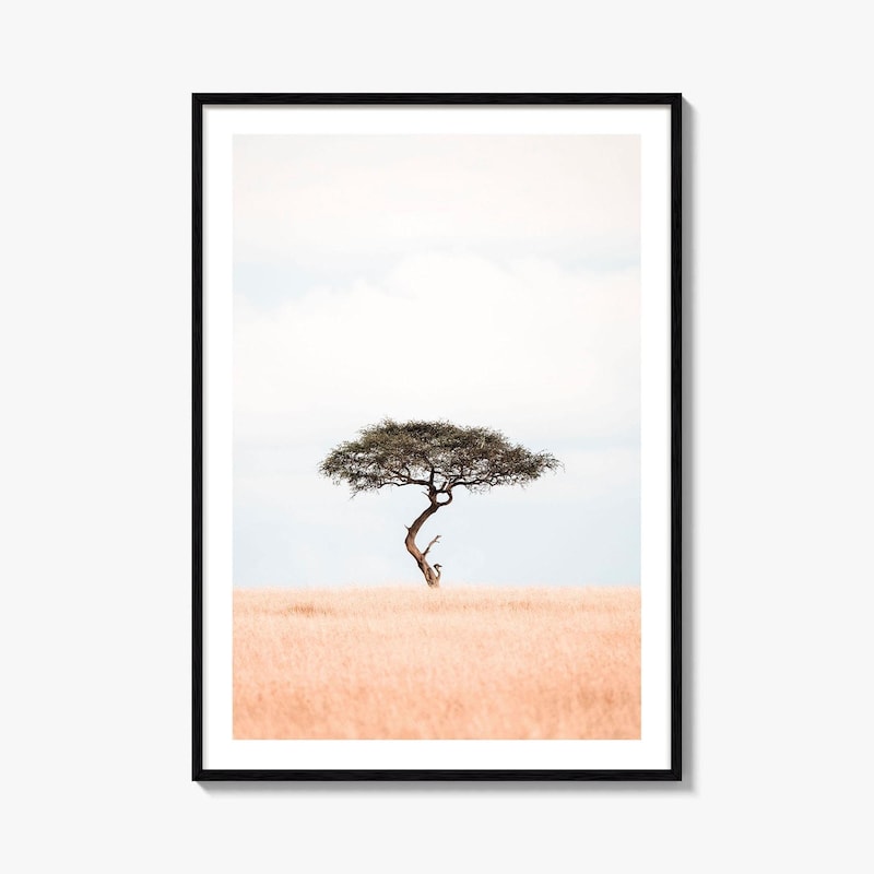 Wall Art Acacia Tree Art - Etsy UK