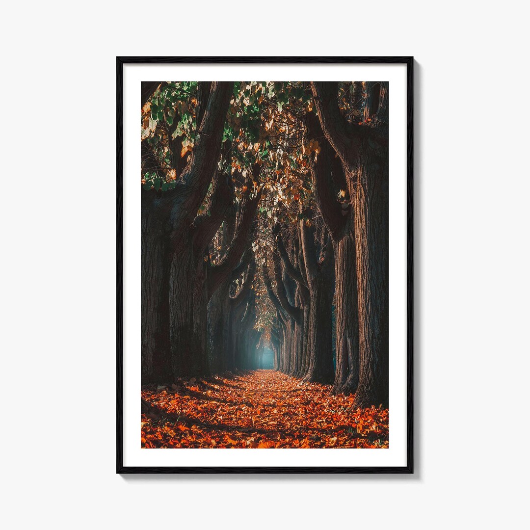 Fine Art Autumn Morning Walk Print | Color Photography Poster for Home ...