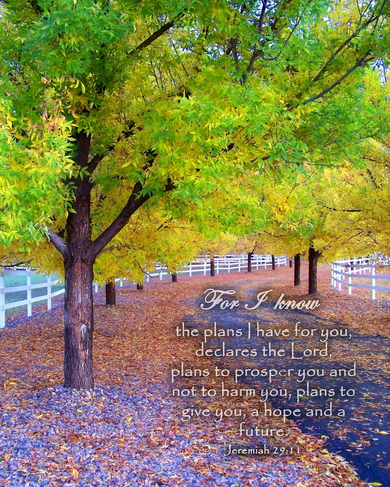 Picture Scripture, Picture Bible Verse, Photography Scripture, Bible ...