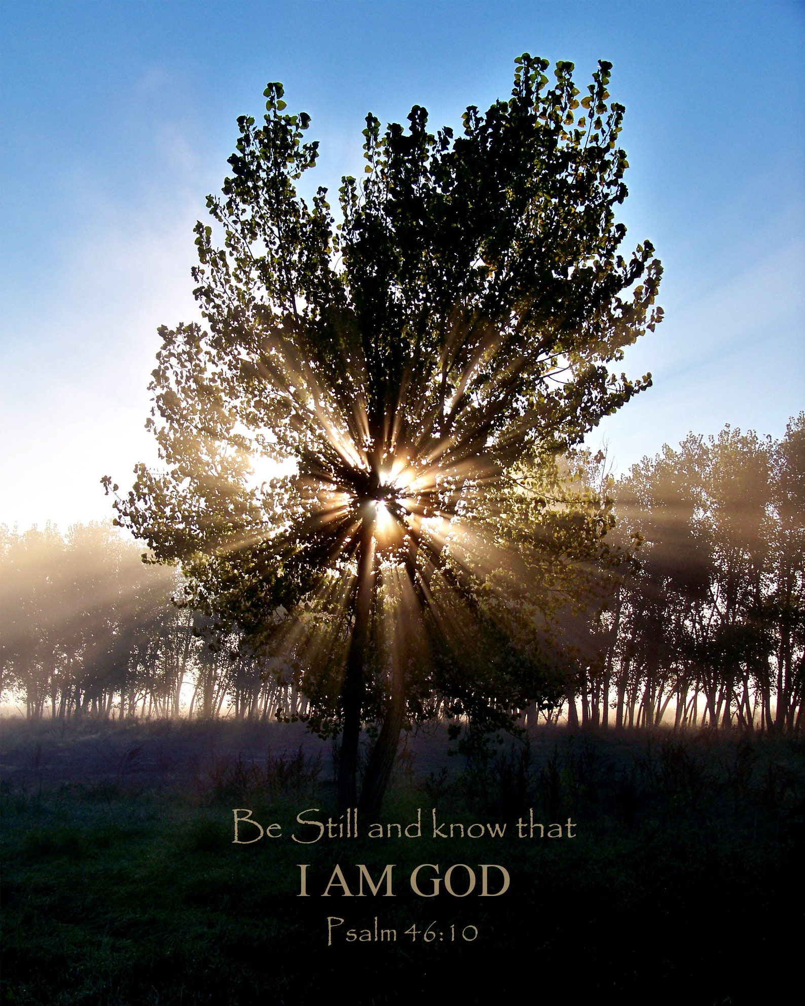 Picture Scripture, Picture Bible Verse, Photography Scripture, Bible ...