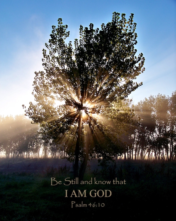 Landscapes With Scripture