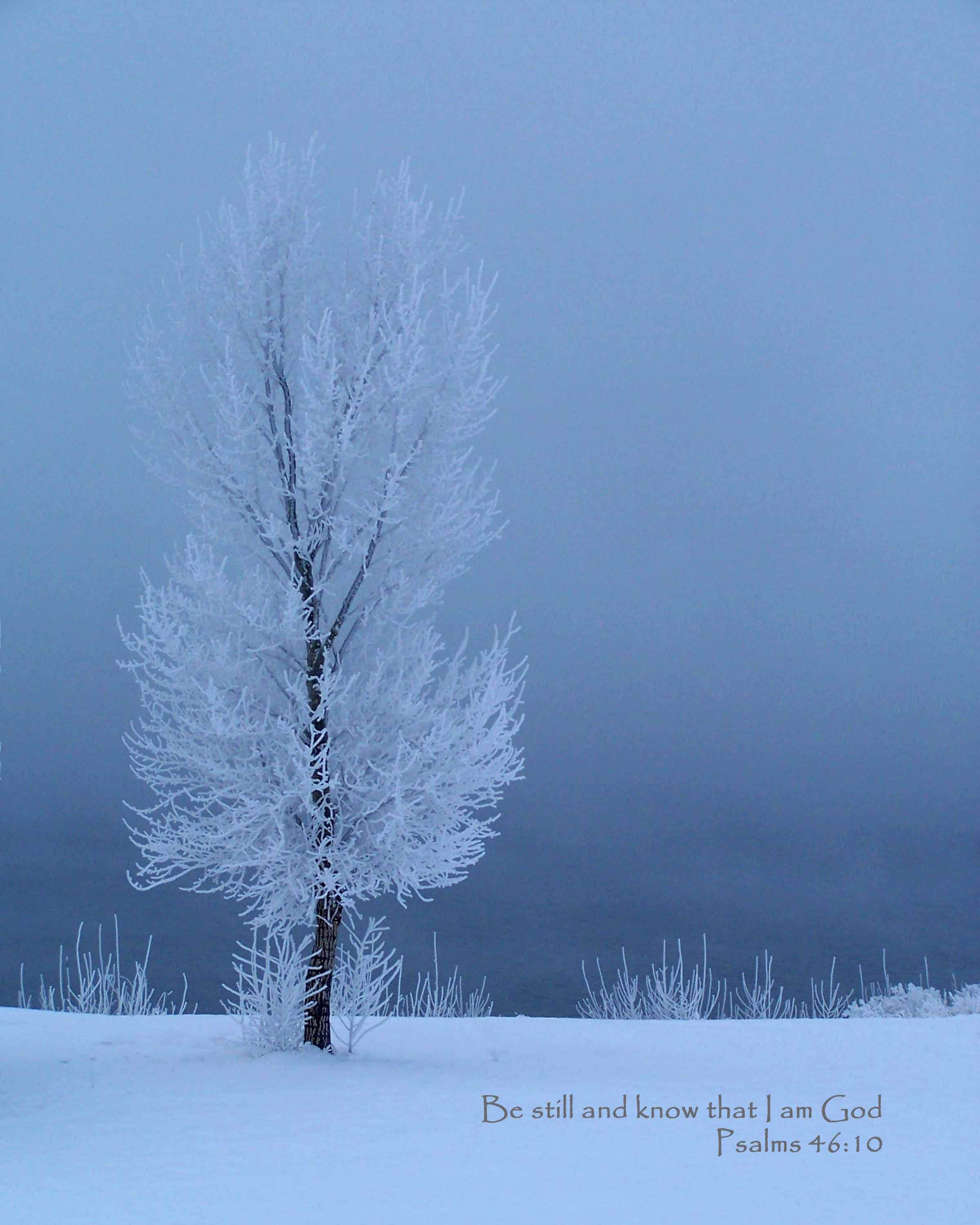 Be Still Scripture Psalm 46:10 Winter Scene Snow Tree in | Etsy