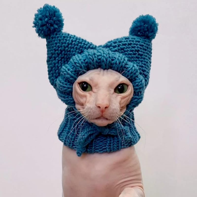 Cat Hats - Etsy