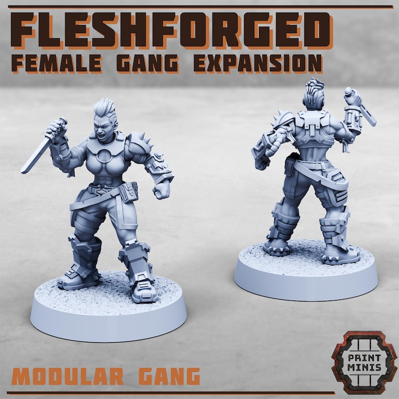 Fleshforged Female Gang Expansion | 3D Printed Miniatures by Print ...