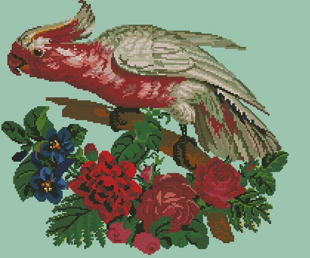 Parrot Vintage Antique Cross Stitch or Gobelin Pattern - Etsy